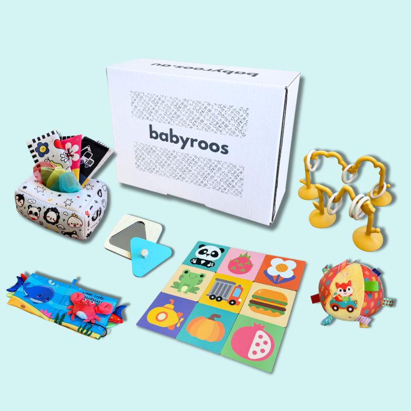 Little Learner Bundle (6+ Months) | Baby Learning Toys | Babyroos
